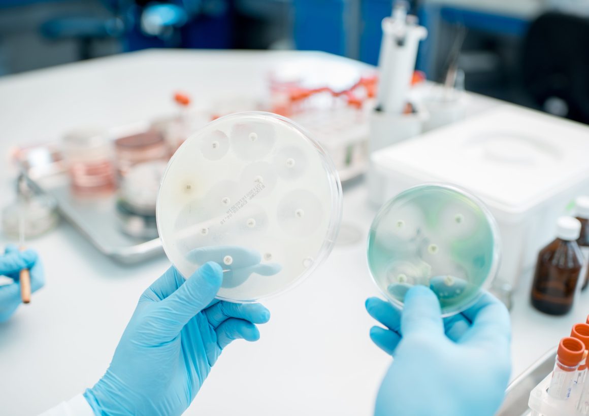 Servicios – Alab Medical